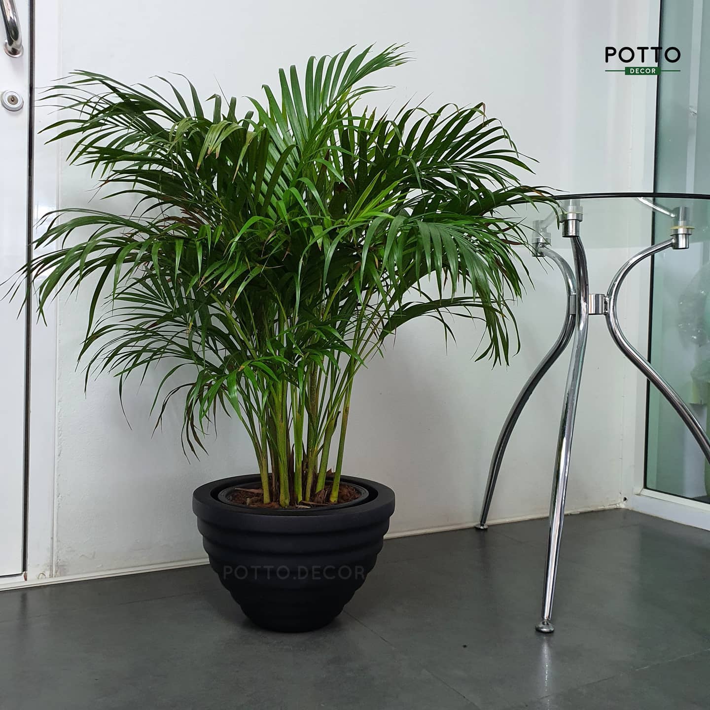 Materials Roomกระถางไฟเบอร์ลอนทรงชาม-3