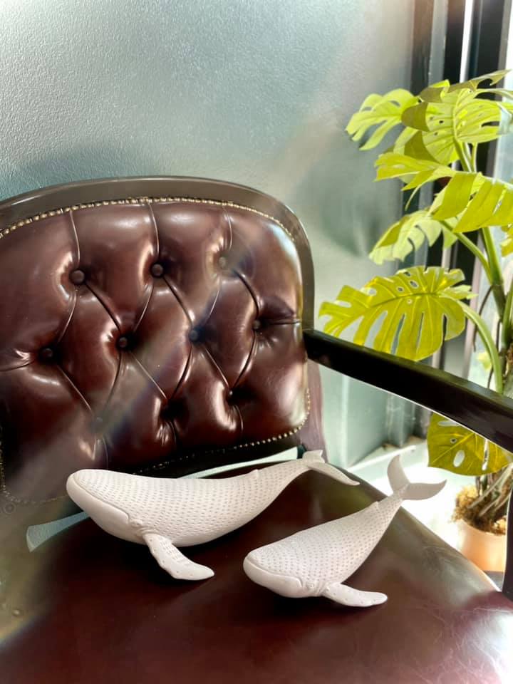 Materials Roomวาฬเกยตื้น-3