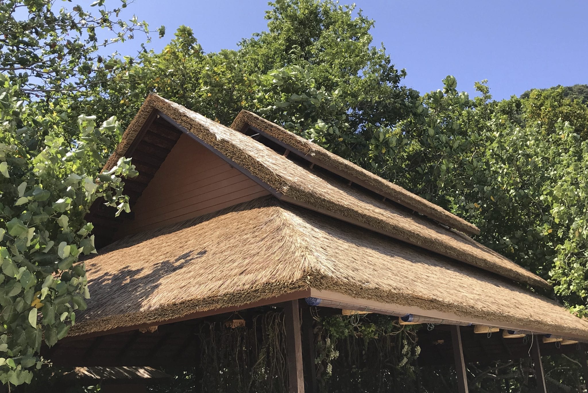 Materials Roommaxis thatch-5